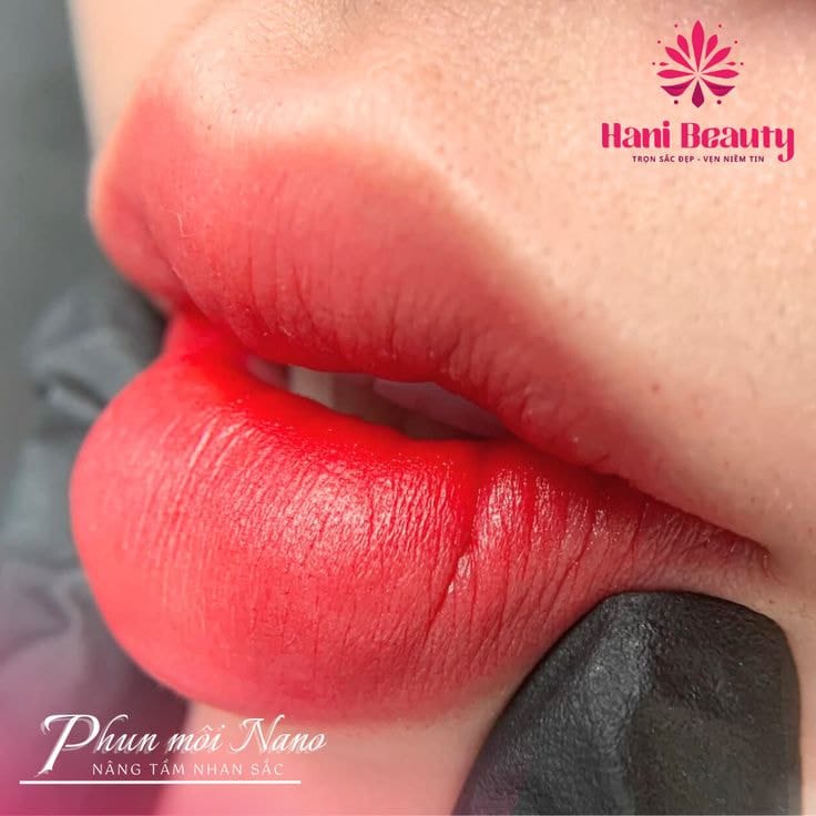 Phun Môi Nano Vi Chạm: Giải Pháp Cho Đôi Môi Tự Nhiên, Quyến Rũ - Hani ...